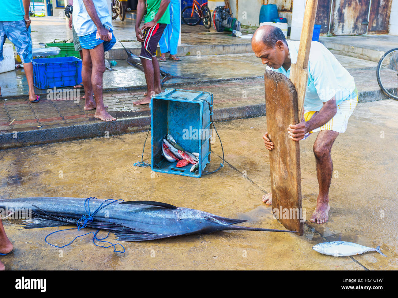 Large marlin hi-res stock photography and images - Alamy