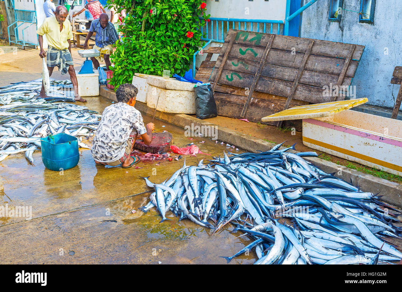 Indian fish cuts hi-res stock photography and images - Alamy