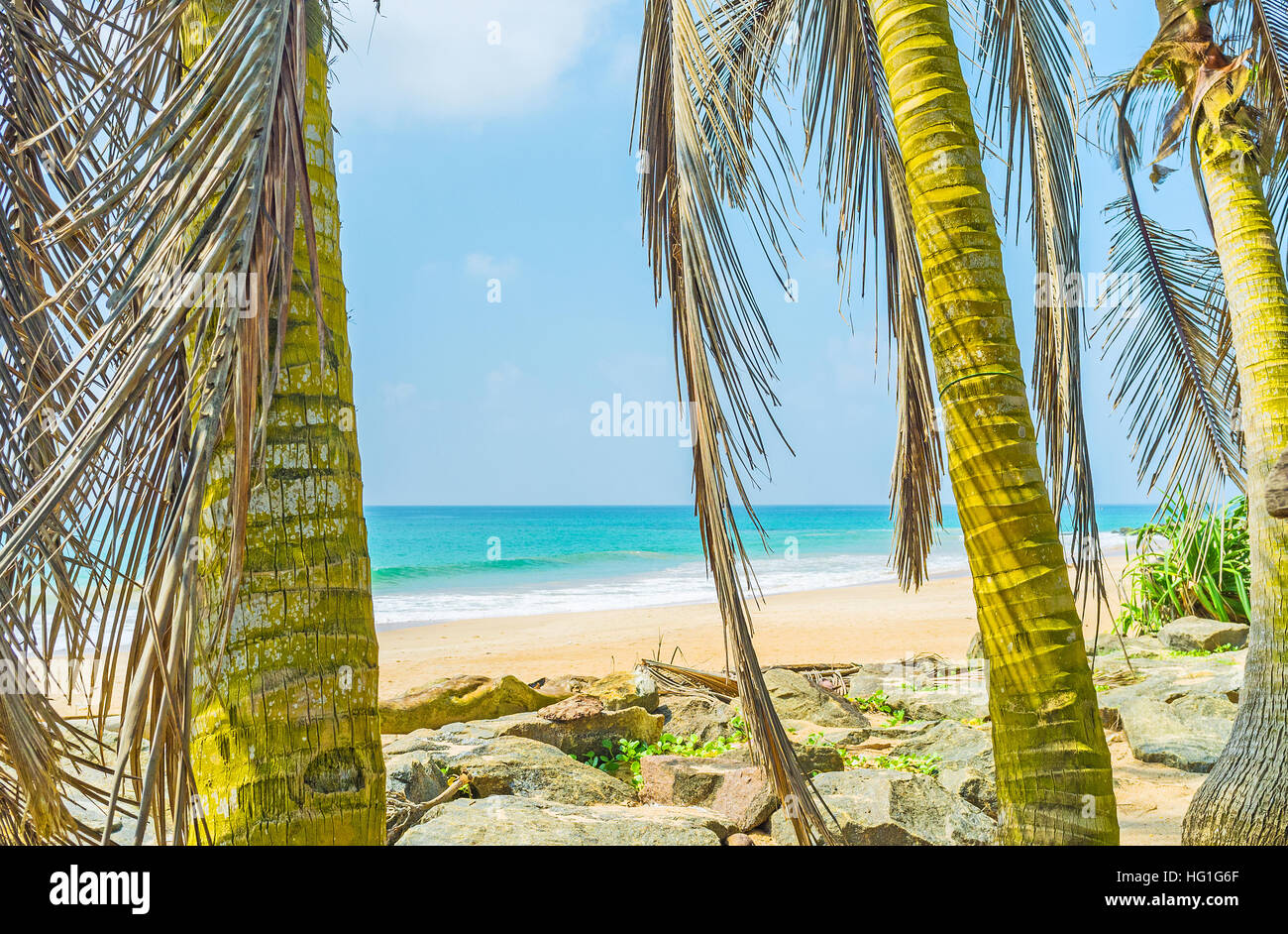Shady and sunny shore hi-res stock photography and images - Alamy