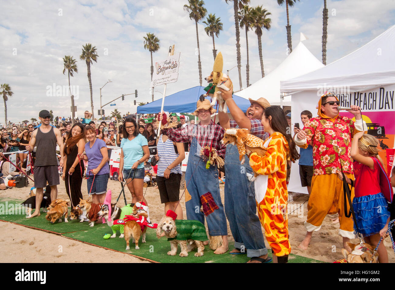 Decorated Welsh Corgi dogs and their owners line up for a costume ...