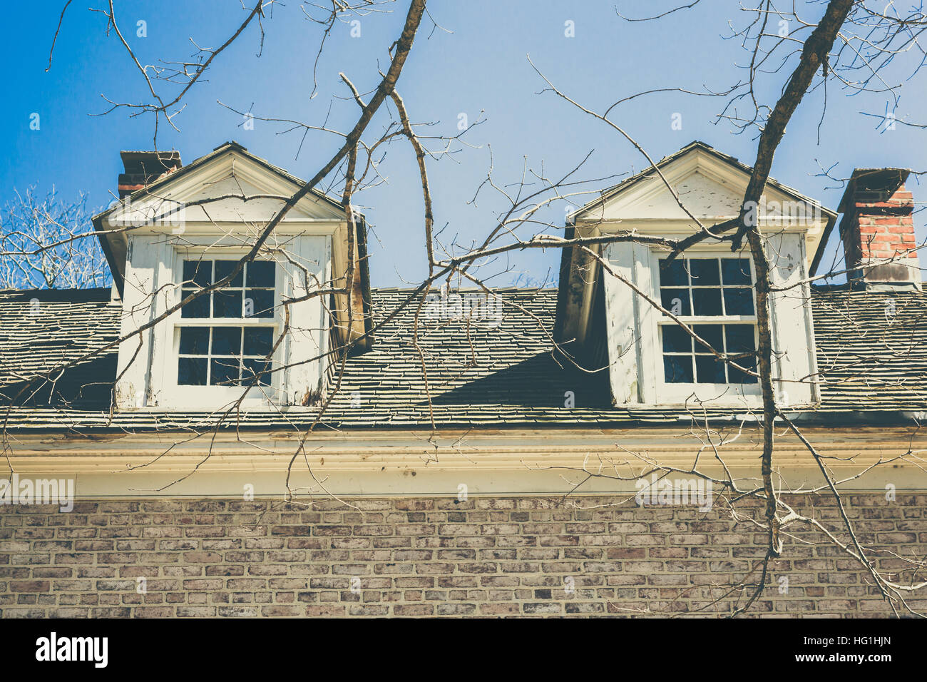 Old windows are seen through barren tree branches Stock Photo - Alamy