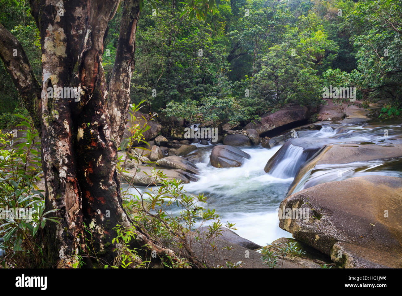The Devil's Pool at Babinda Boulders in Queensland, Australia Stock ...