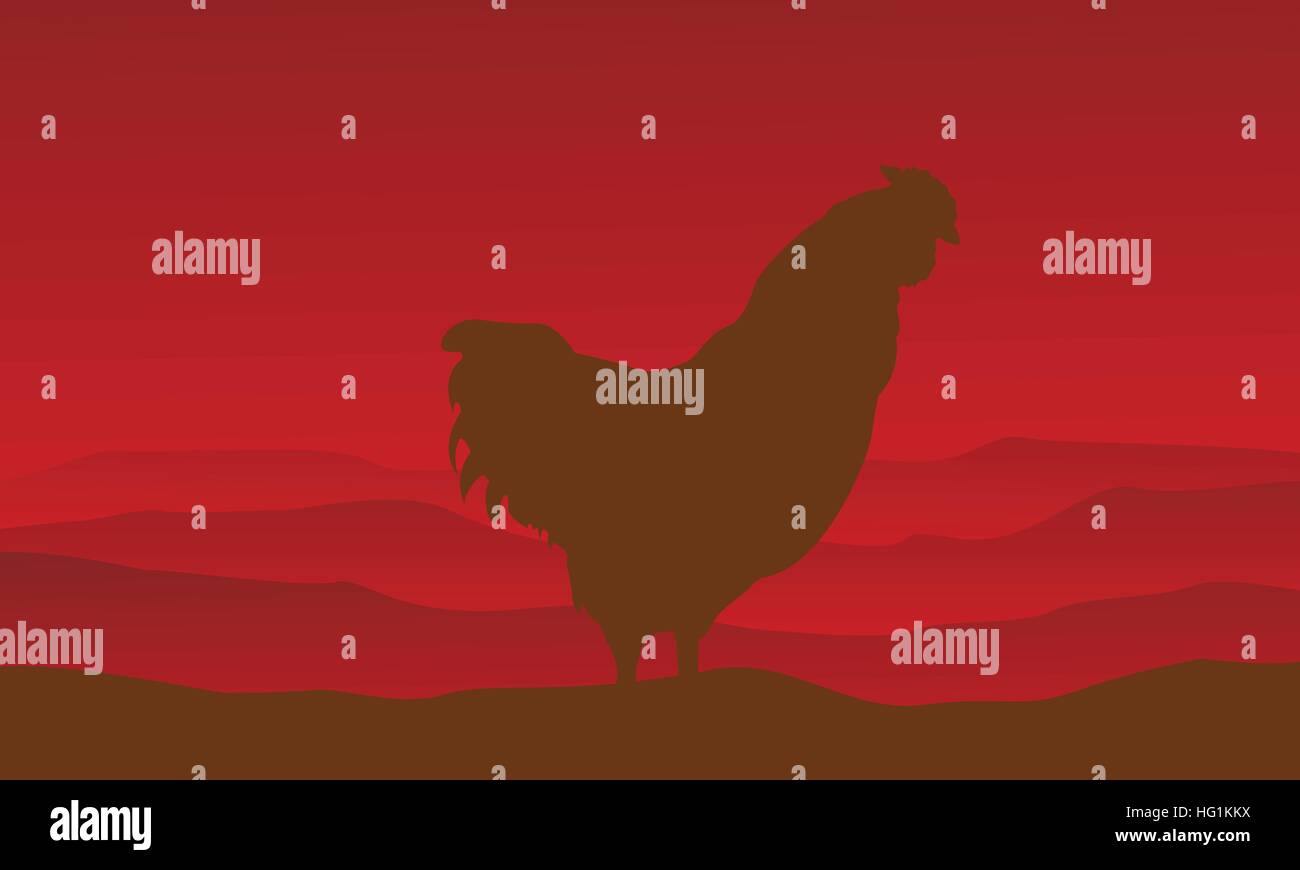 Silhouette of rooster on red backgrounds Stock Vector Image & Art - Alamy