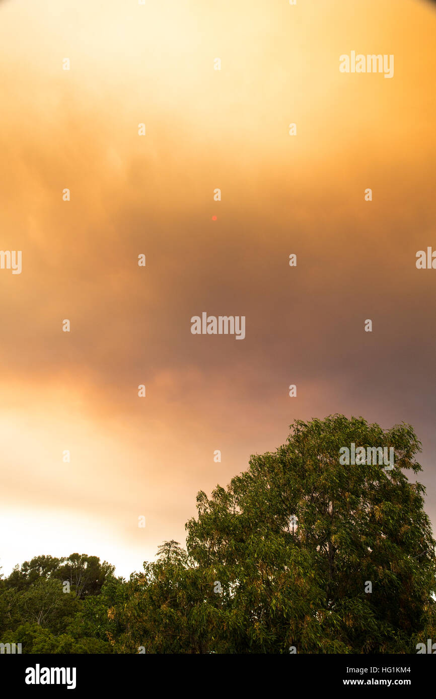 The sun glows red during a forest fire Stock Photo - Alamy