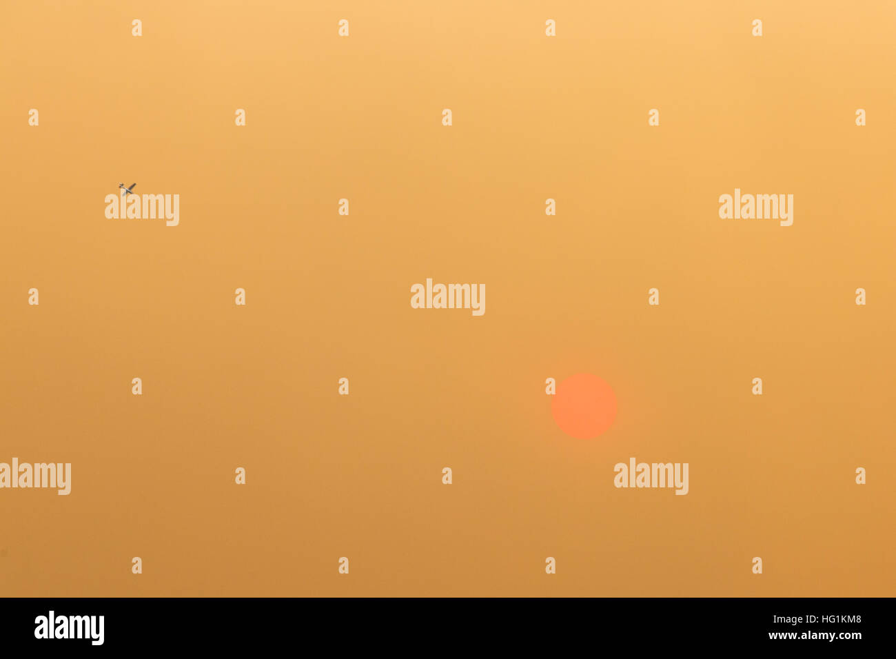 The sun glows red during a forest fire Stock Photo - Alamy