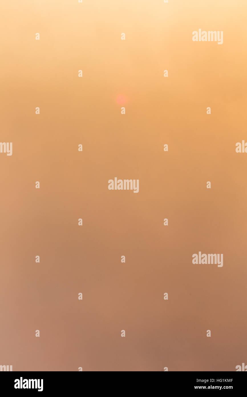 The sun glows red during a forest fire Stock Photo - Alamy
