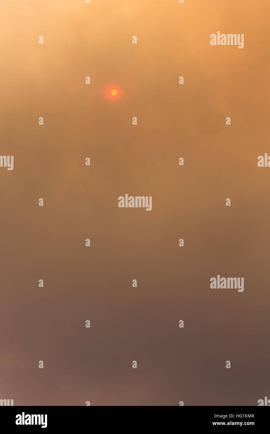 The sun glows red during a forest fire Stock Photo - Alamy