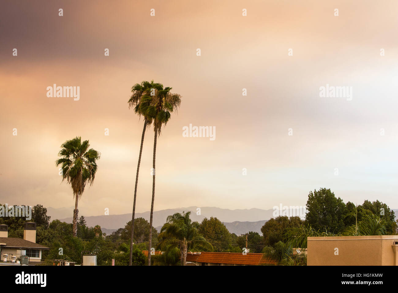 Smokey skies after a forest fire Stock Photo - Alamy