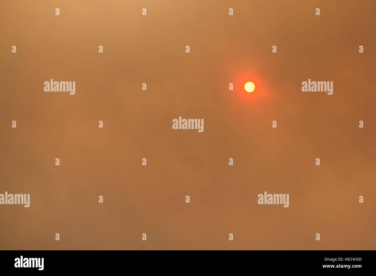 The sun glows red during a forest fire Stock Photo - Alamy