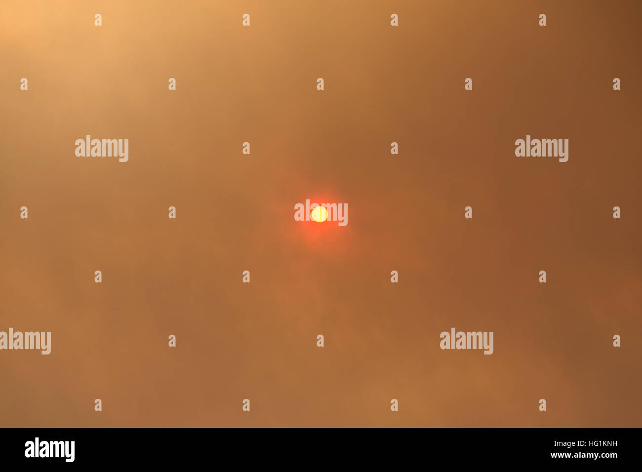 The sun glows red during a forest fire Stock Photo - Alamy