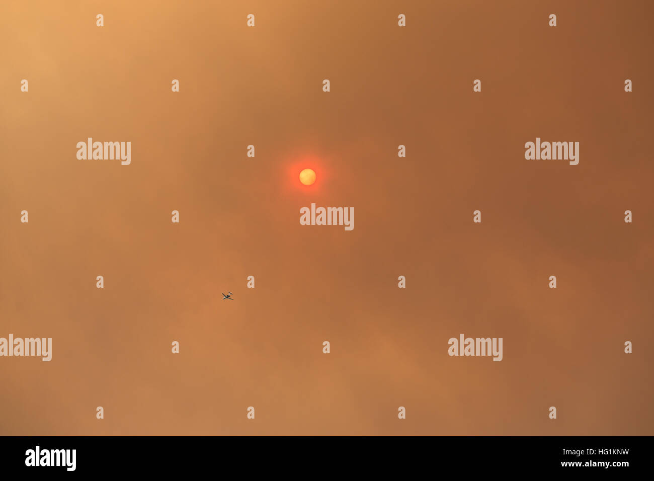 The sun glows red during a forest fire Stock Photo - Alamy