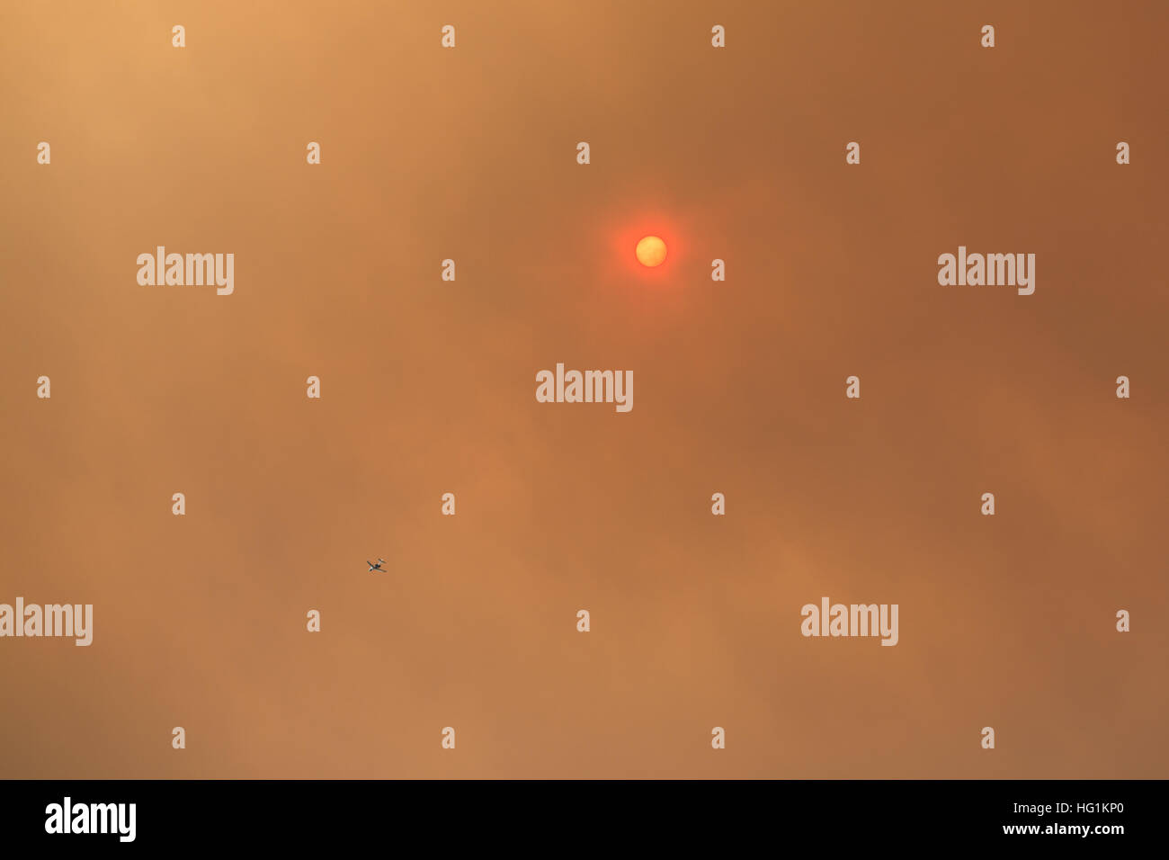 The sun glows red during a forest fire Stock Photo - Alamy