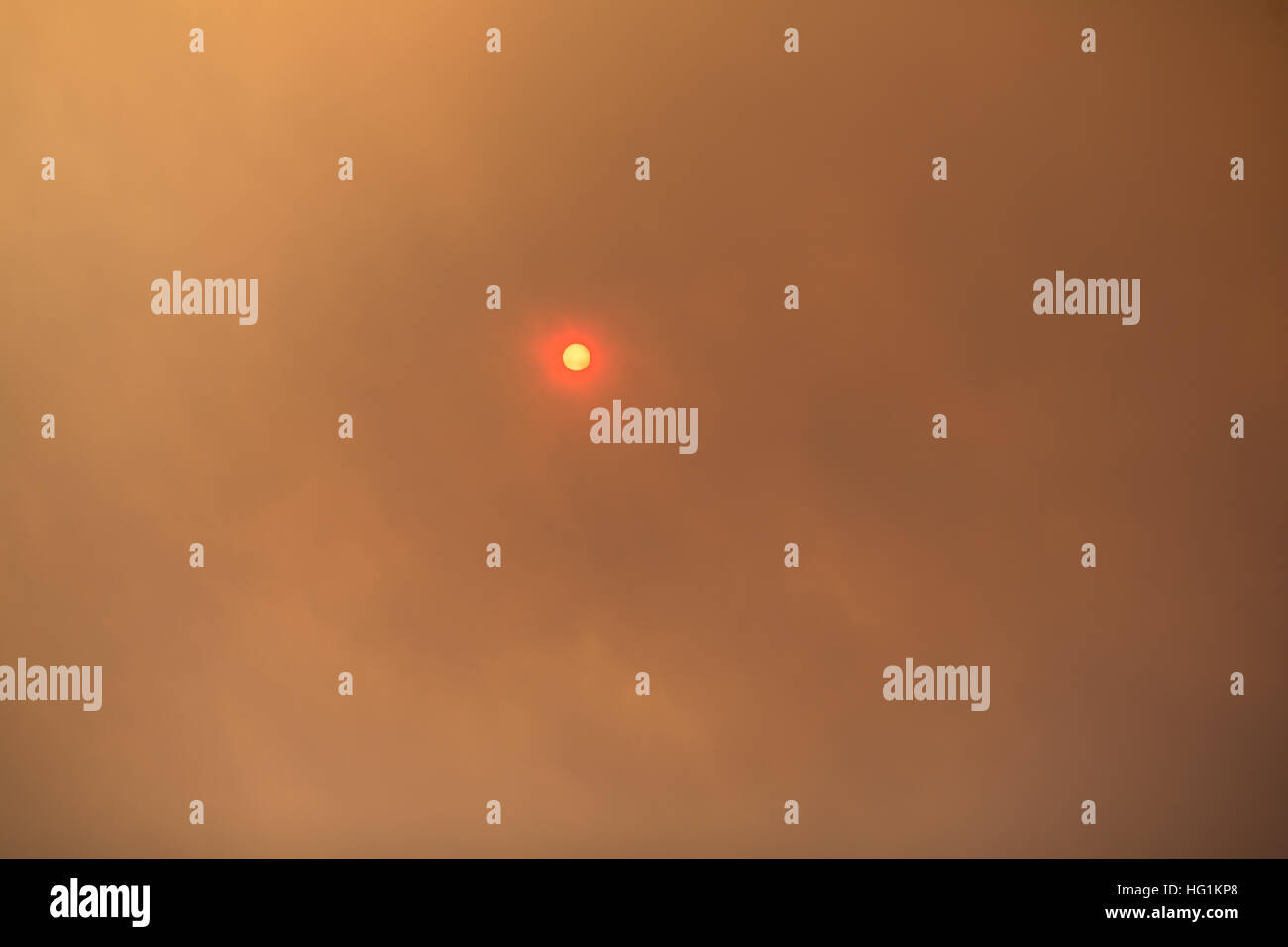 The sun glows red during a forest fire Stock Photo - Alamy