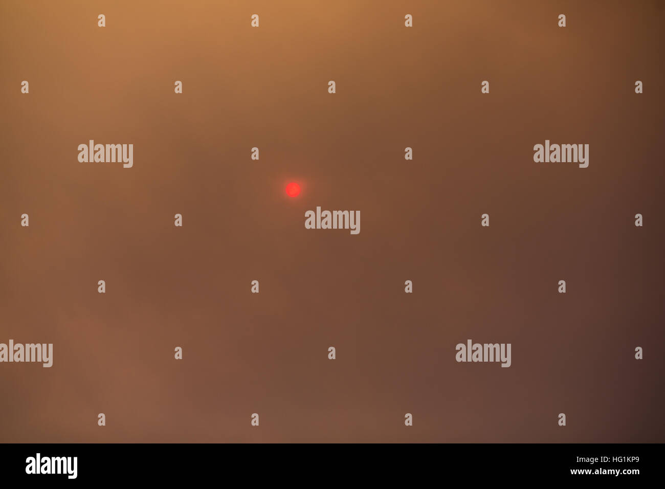 The sun glows red during a forest fire Stock Photo - Alamy