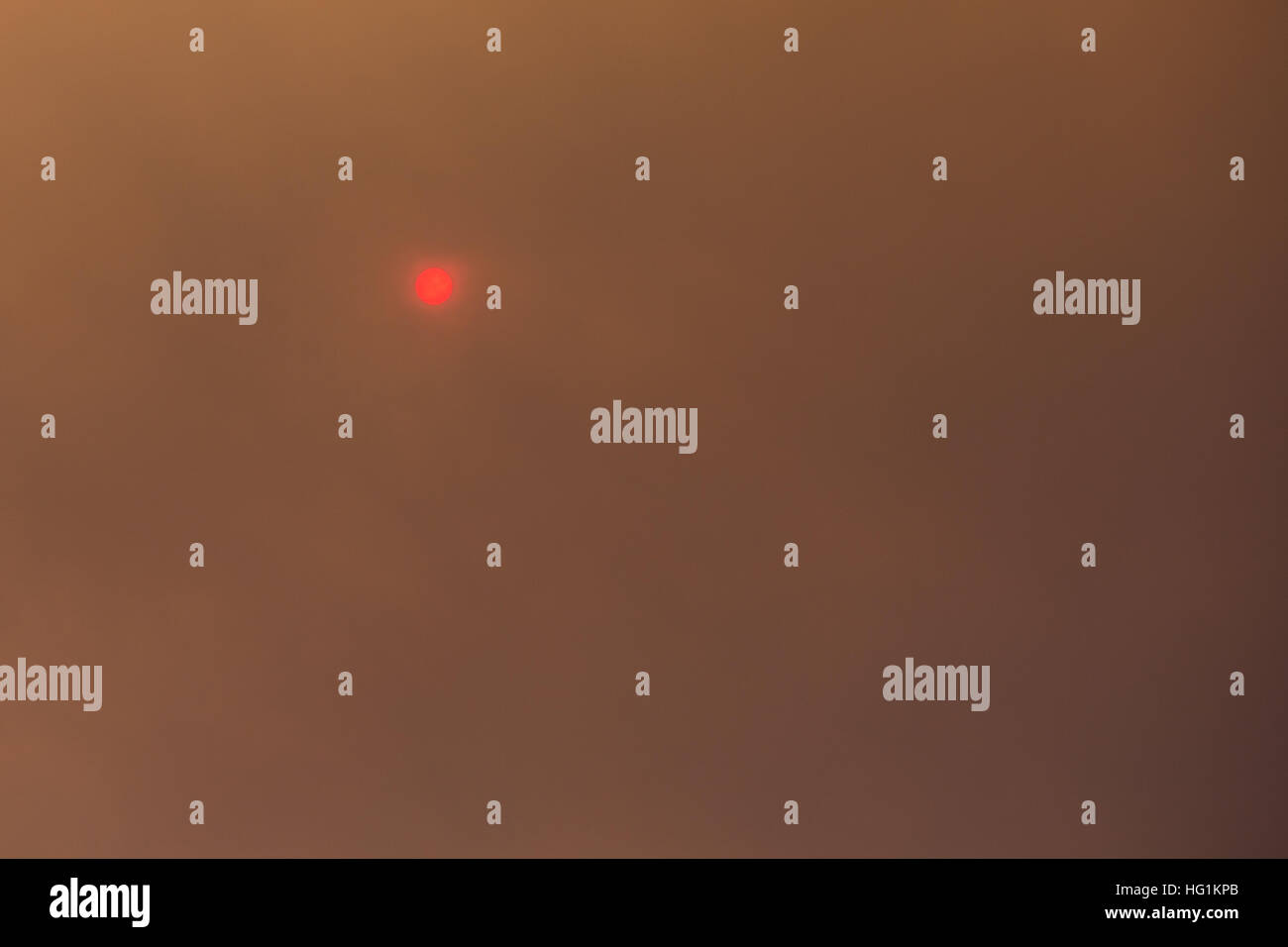 The sun glows red during a forest fire Stock Photo - Alamy