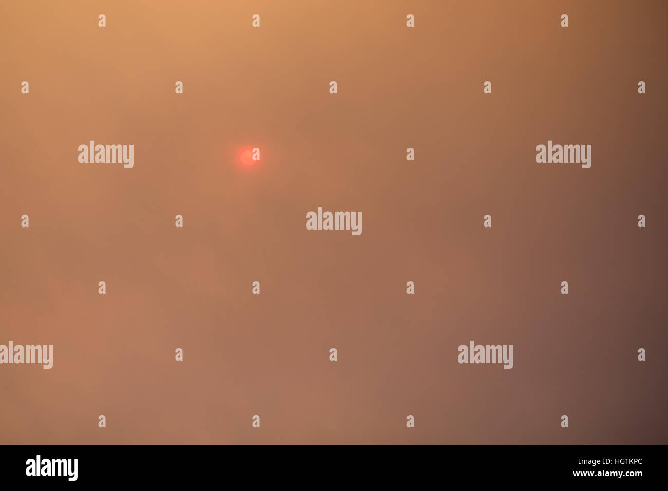 The sun glows red during a forest fire Stock Photo - Alamy