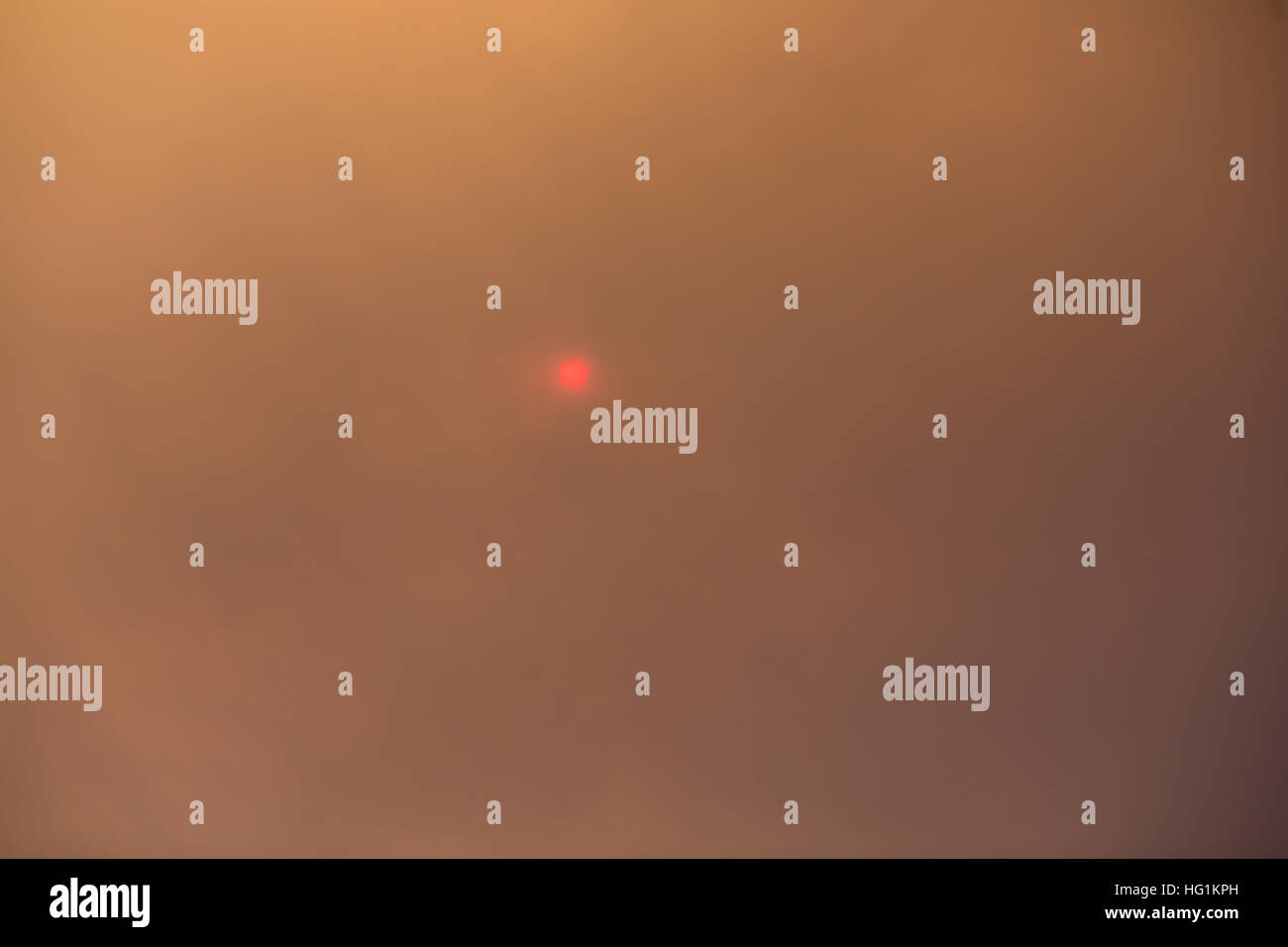 The sun glows red during a forest fire Stock Photo - Alamy
