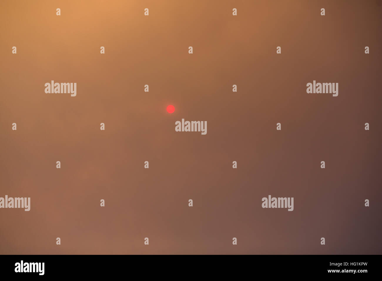 The sun glows red during a forest fire Stock Photo - Alamy