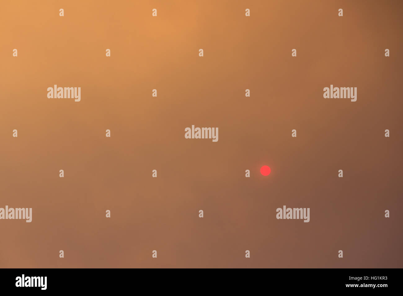 The sun glows red during a forest fire Stock Photo - Alamy