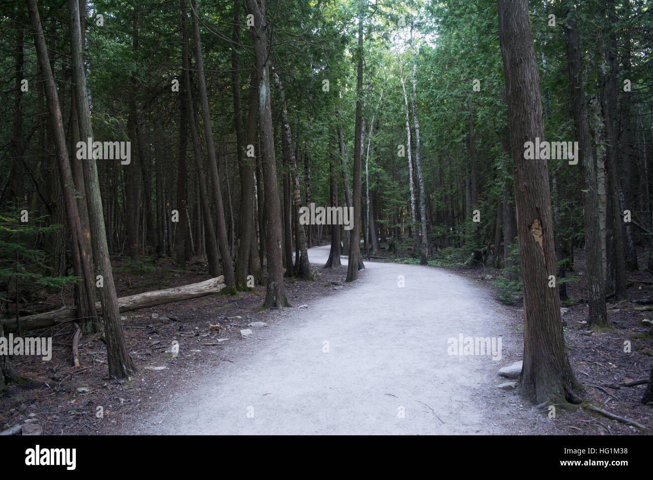Nature pathway trail hi-res stock photography and images - Alamy