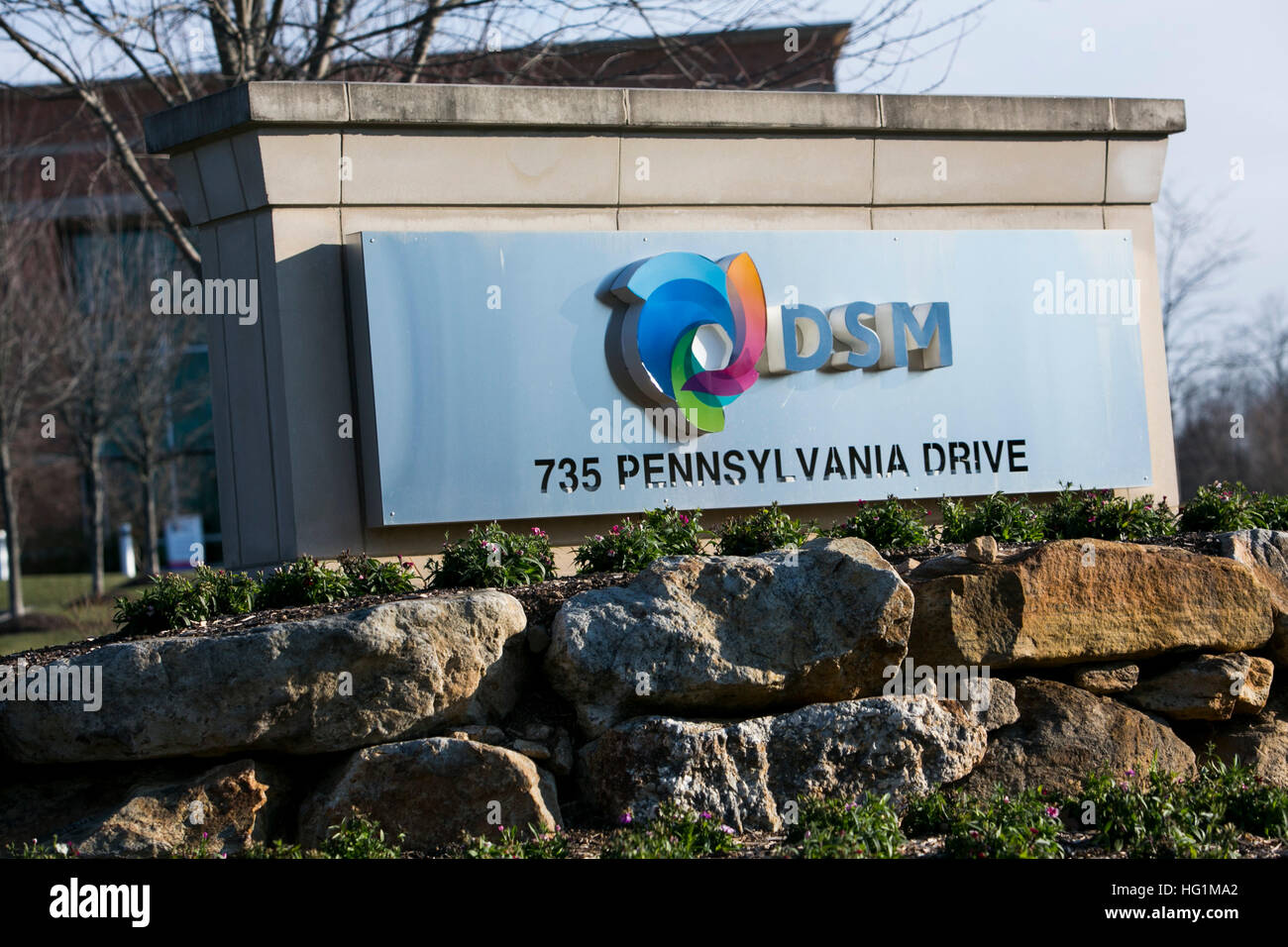 A logo sign outside of a facility occupied by DSM Biomedical in Exton ...