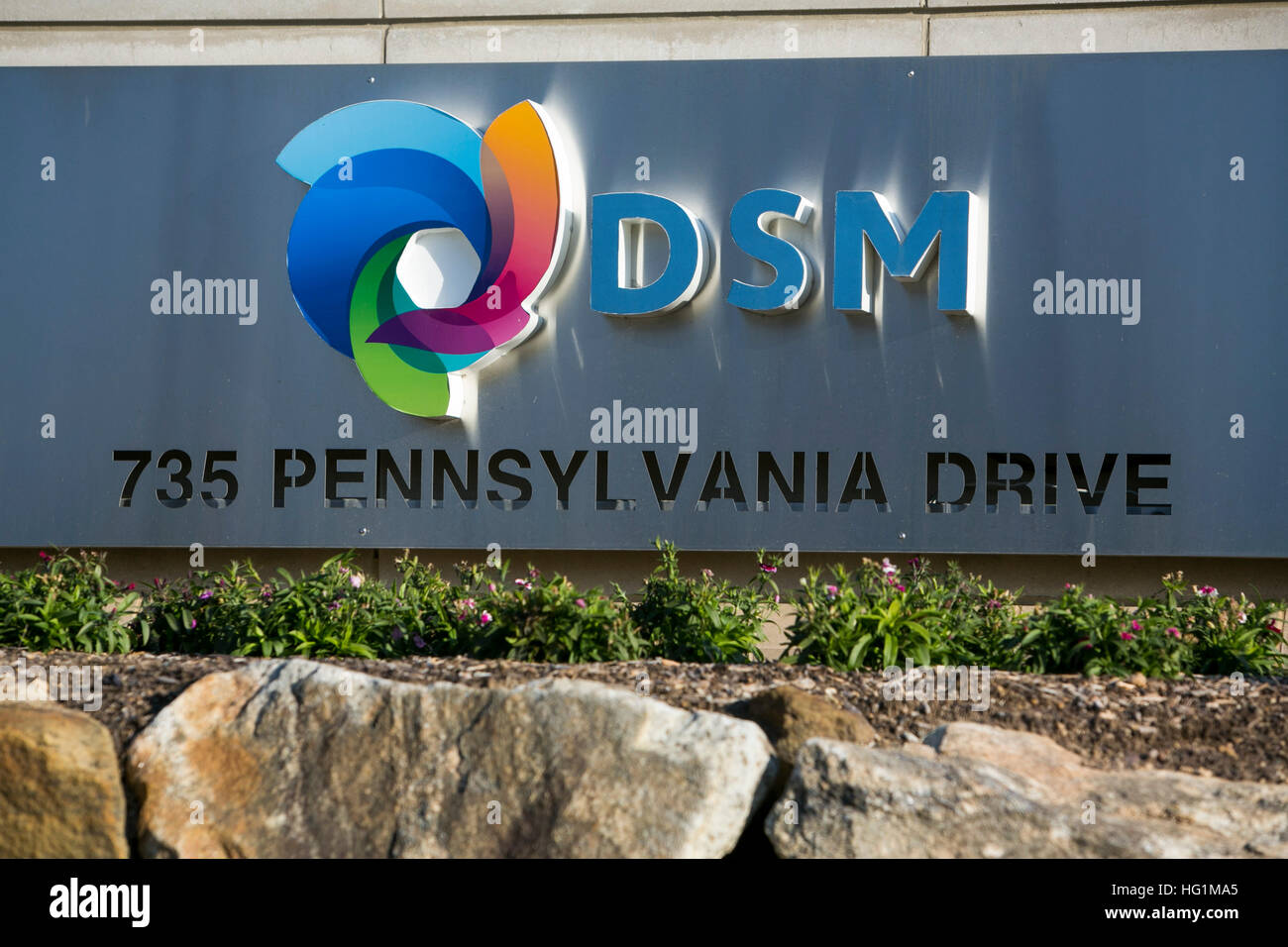 A logo sign outside of a facility occupied by DSM Biomedical in Exton ...