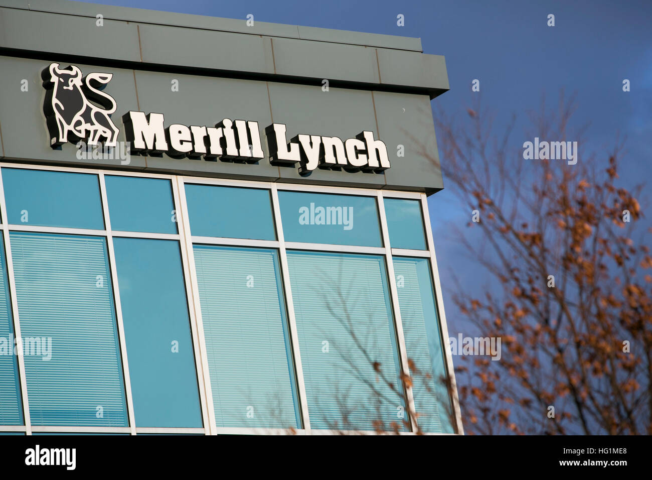 Merrill Lynch Logo Vector