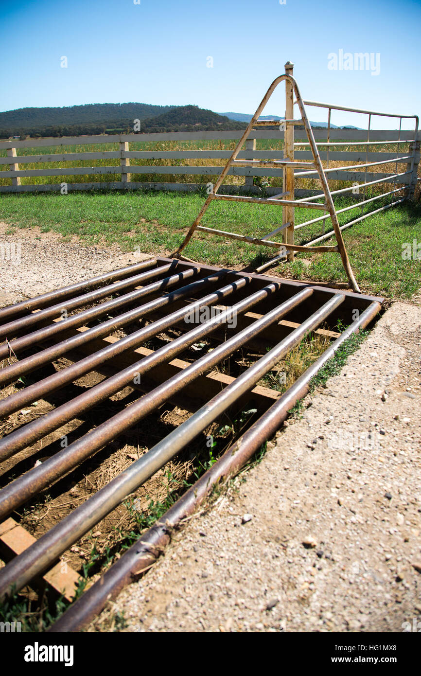 Cattle grid designed to stop cattle from crossing without a gate Stock ...