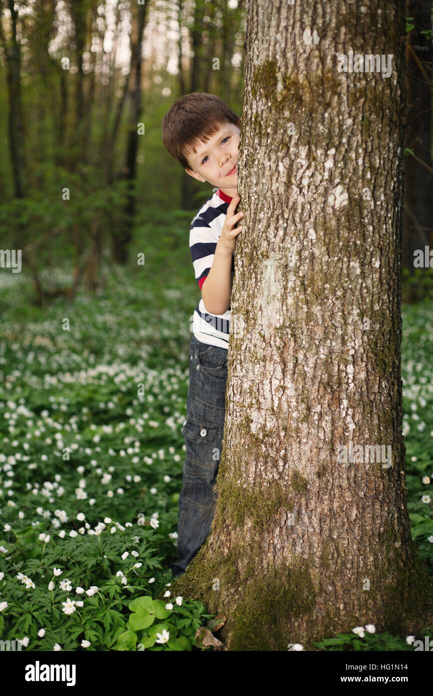 little boy in forest on flowers field Stock Photo - Alamy