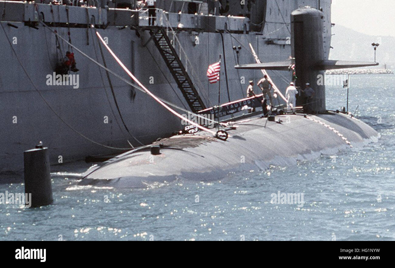 Tautog hi-res stock photography and images - Alamy