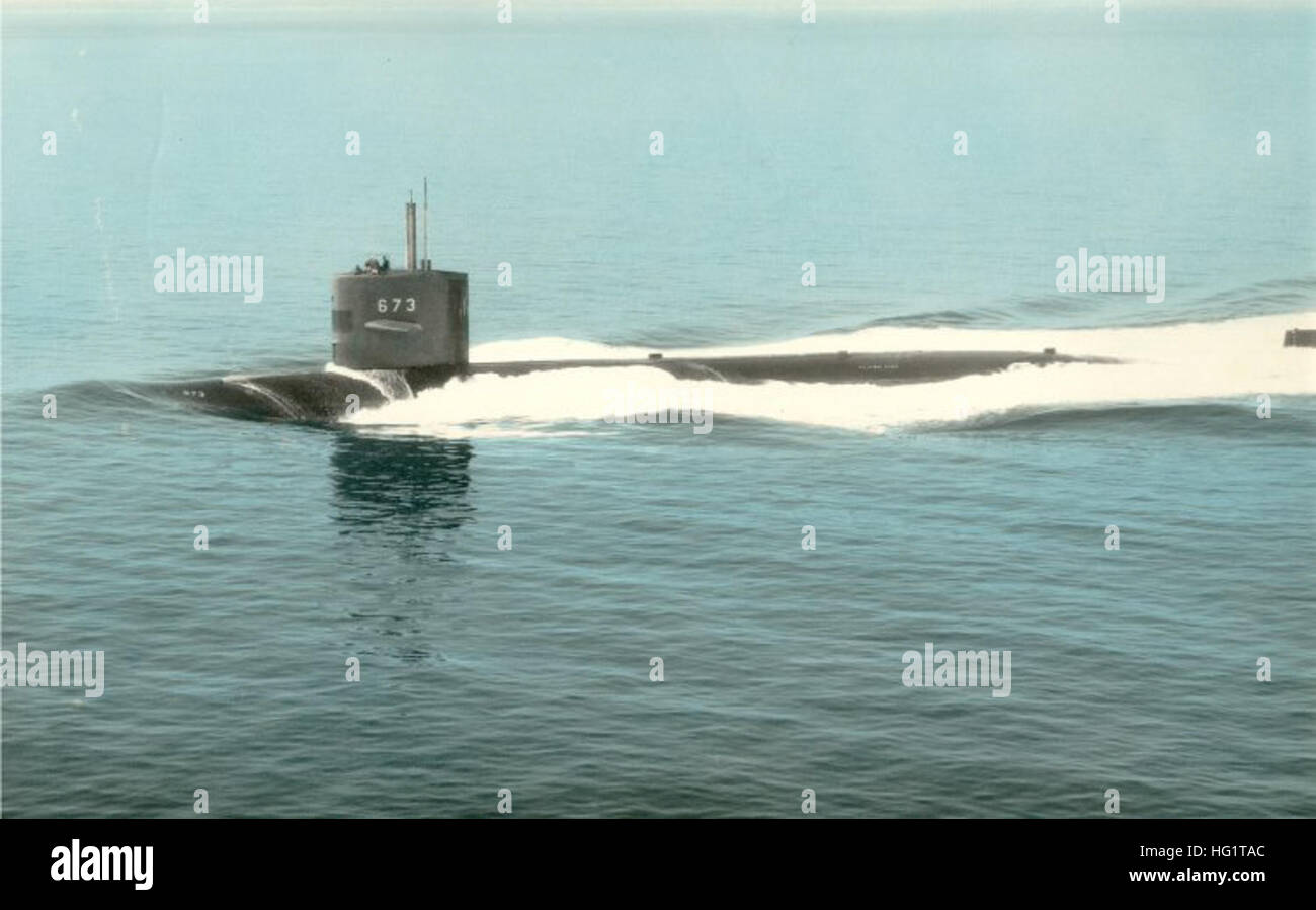 USS Flying Fish (SSN-673) at sea 1972 Stock Photo - Alamy