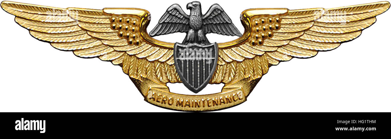 Professional aviation maintenance officer hi-res stock photography and ...