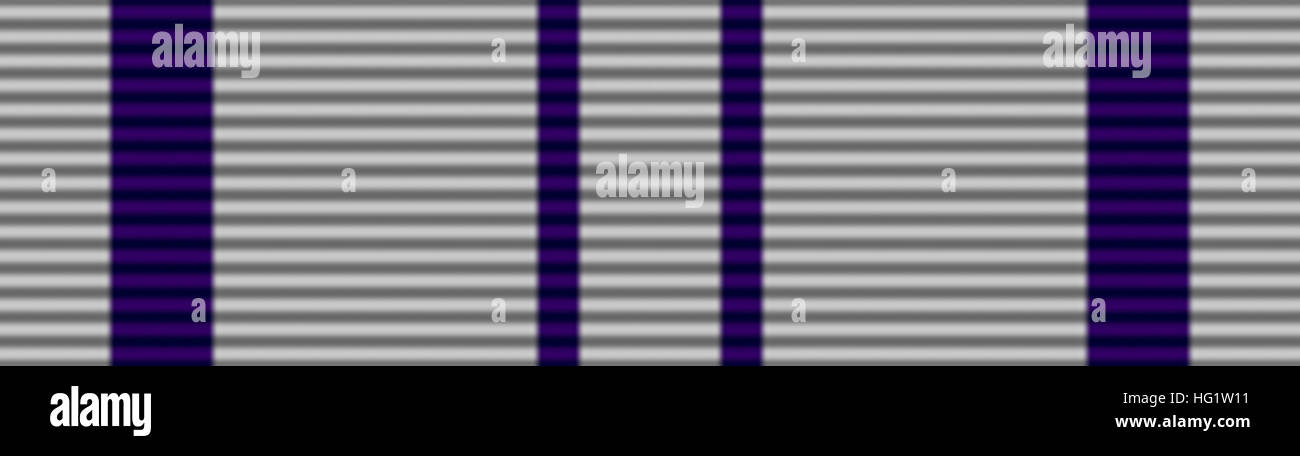 NVNG Distinguished Service Medal Stock Photo - Alamy