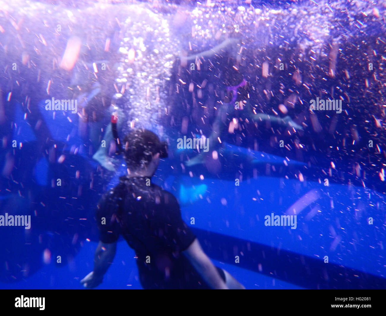 U.S. Navy Electrician's Mate 2nd Class Andrei Krkun, a search and ...