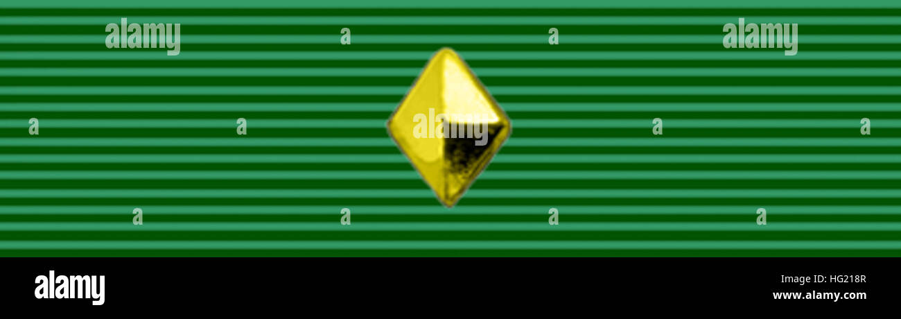 Army Guard First Sergeant Ribbon Stock Photo - Alamy