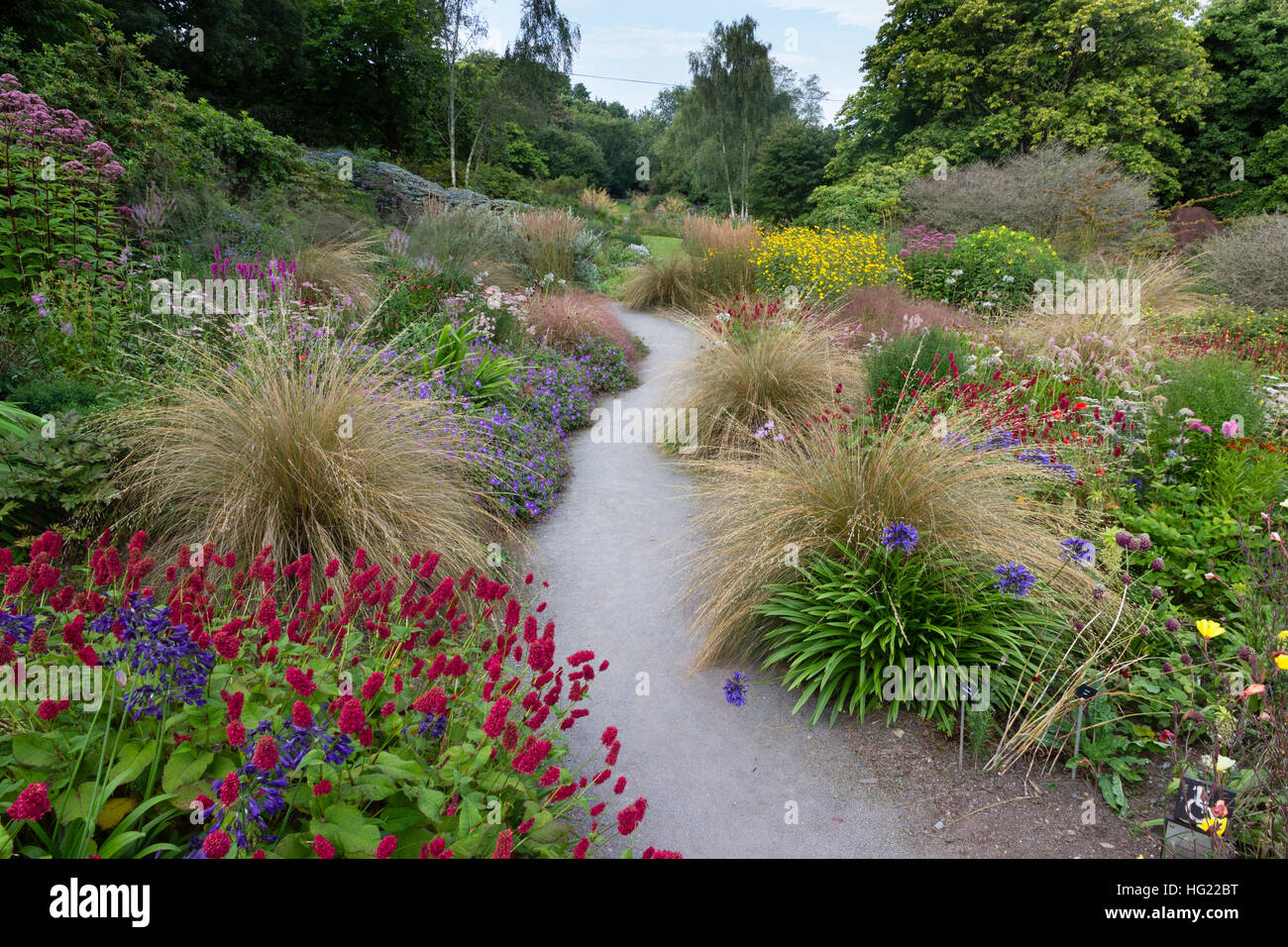 Drift planting hi-res stock photography and images - Alamy