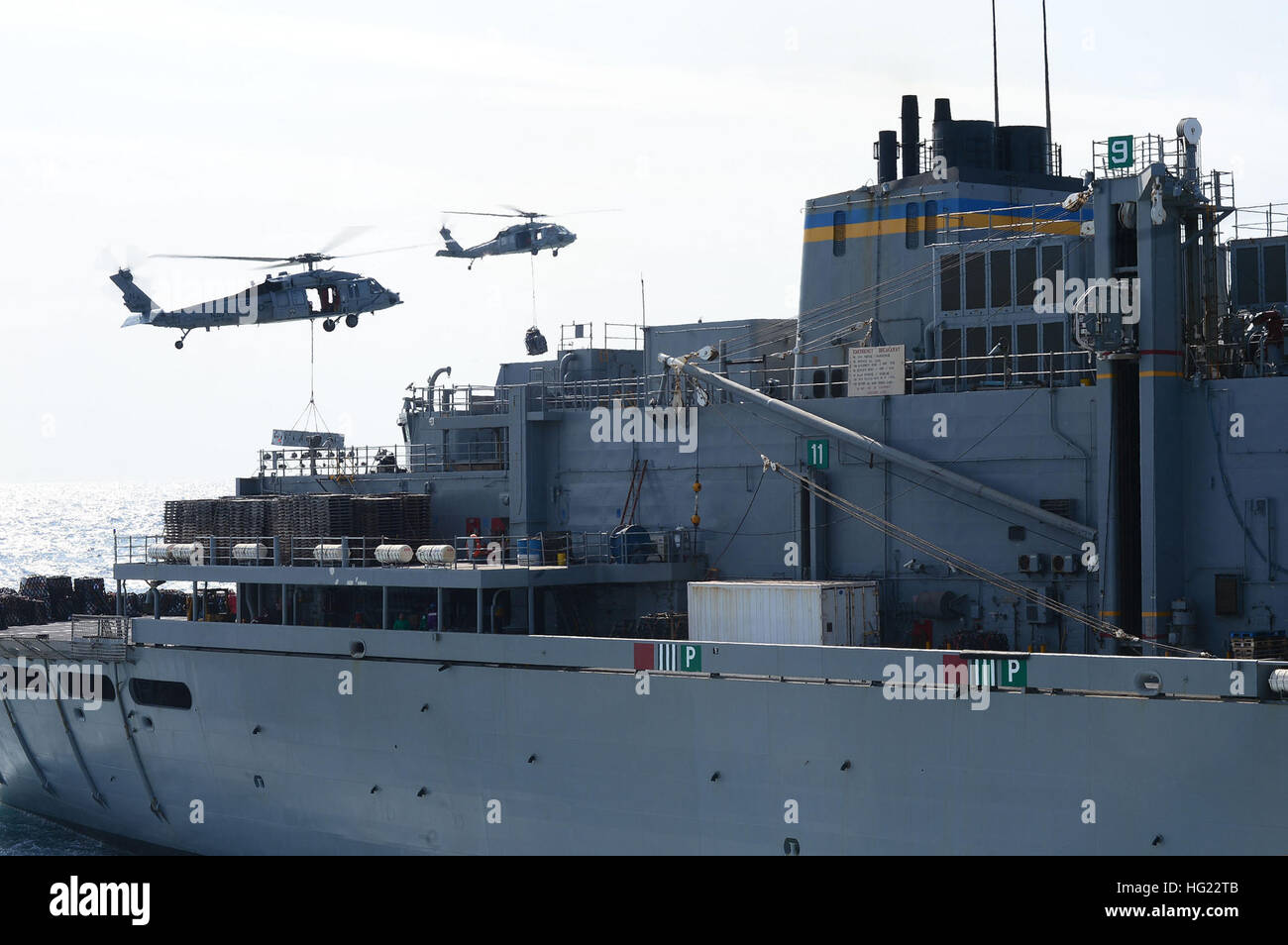 Two MH-60S Seahawk helicopters from the Red Lions of Helicopter Sea ...