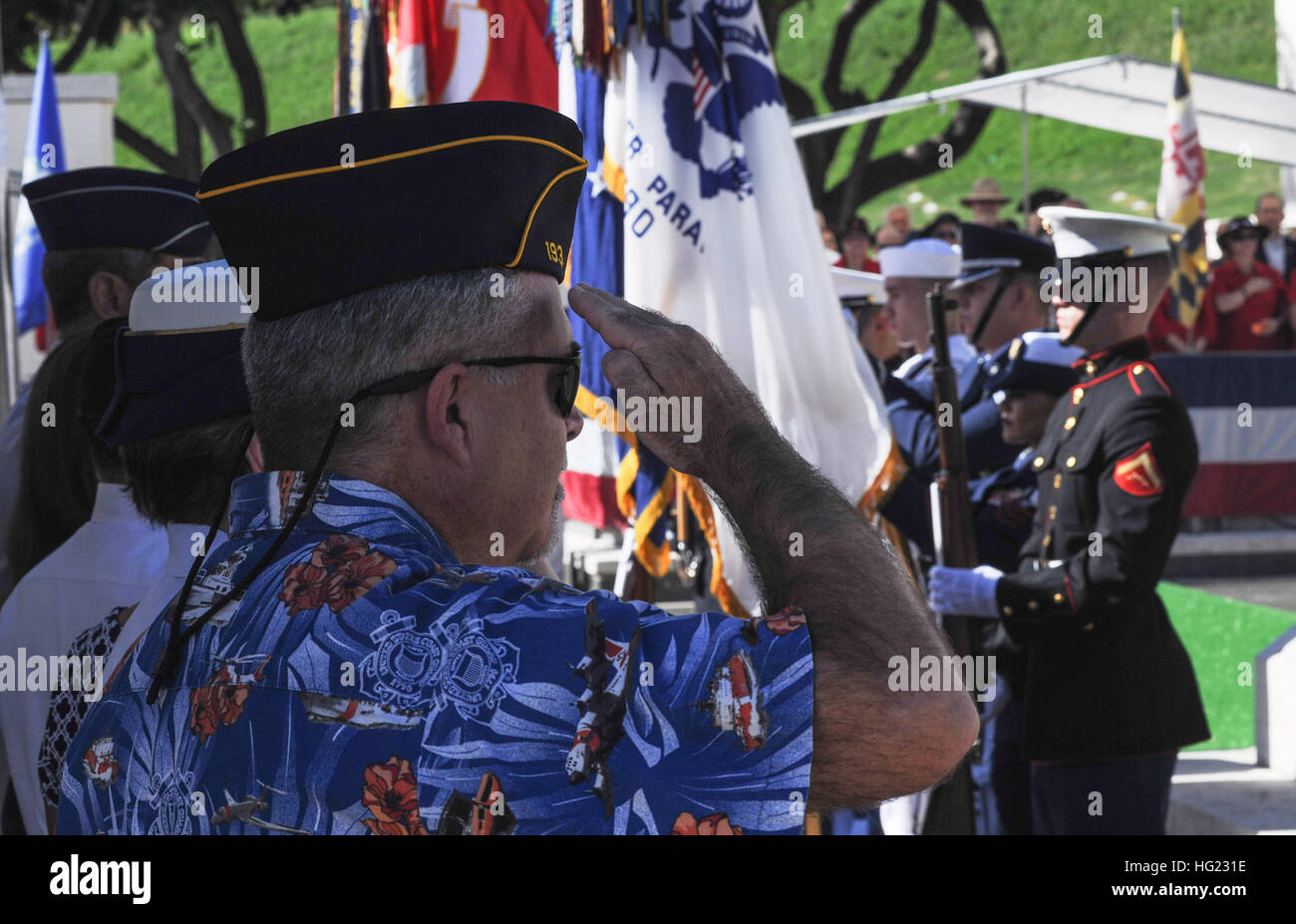 A spectator salutes as the Joint Services Color Guard parades the ...