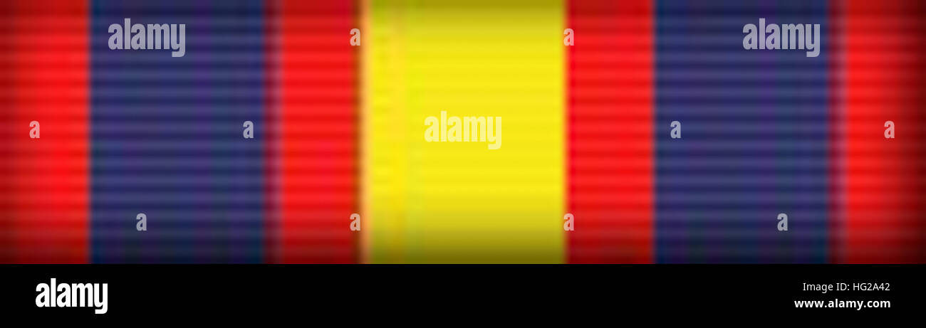 Texas Medal of Merit (Texas National Guard Stock Photo - Alamy