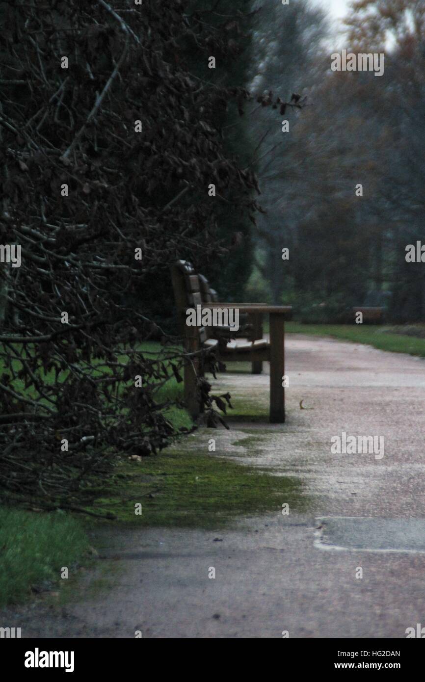 Ephemeral moments hi-res stock photography and images - Alamy