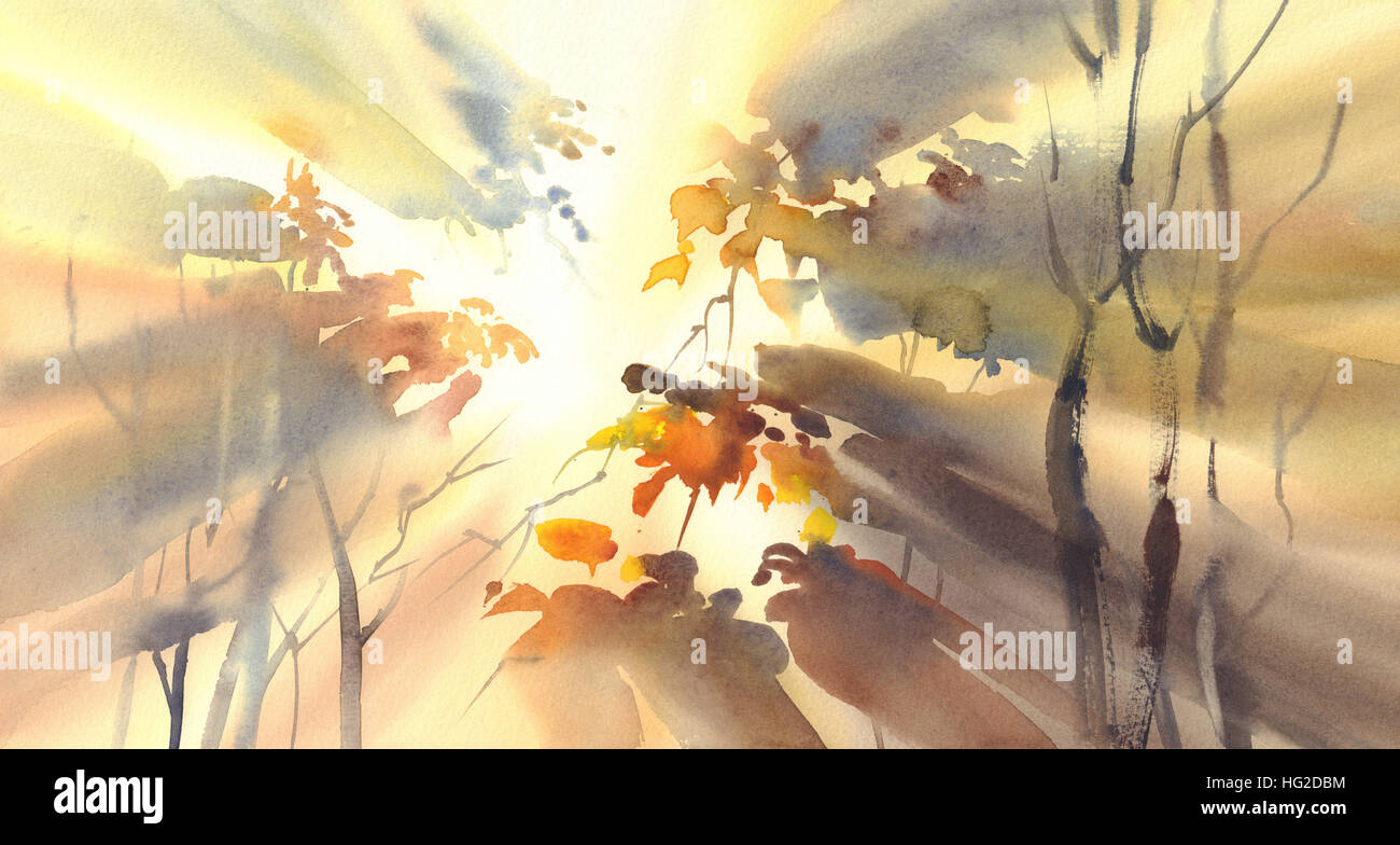 sun rays in the yellow forest watercolor Stock Photo - Alamy