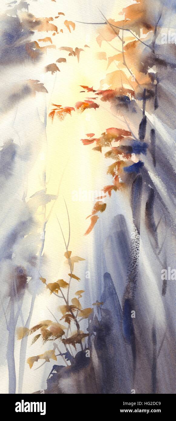 Sun rays in forest watercolor hi-res stock photography and images - Alamy