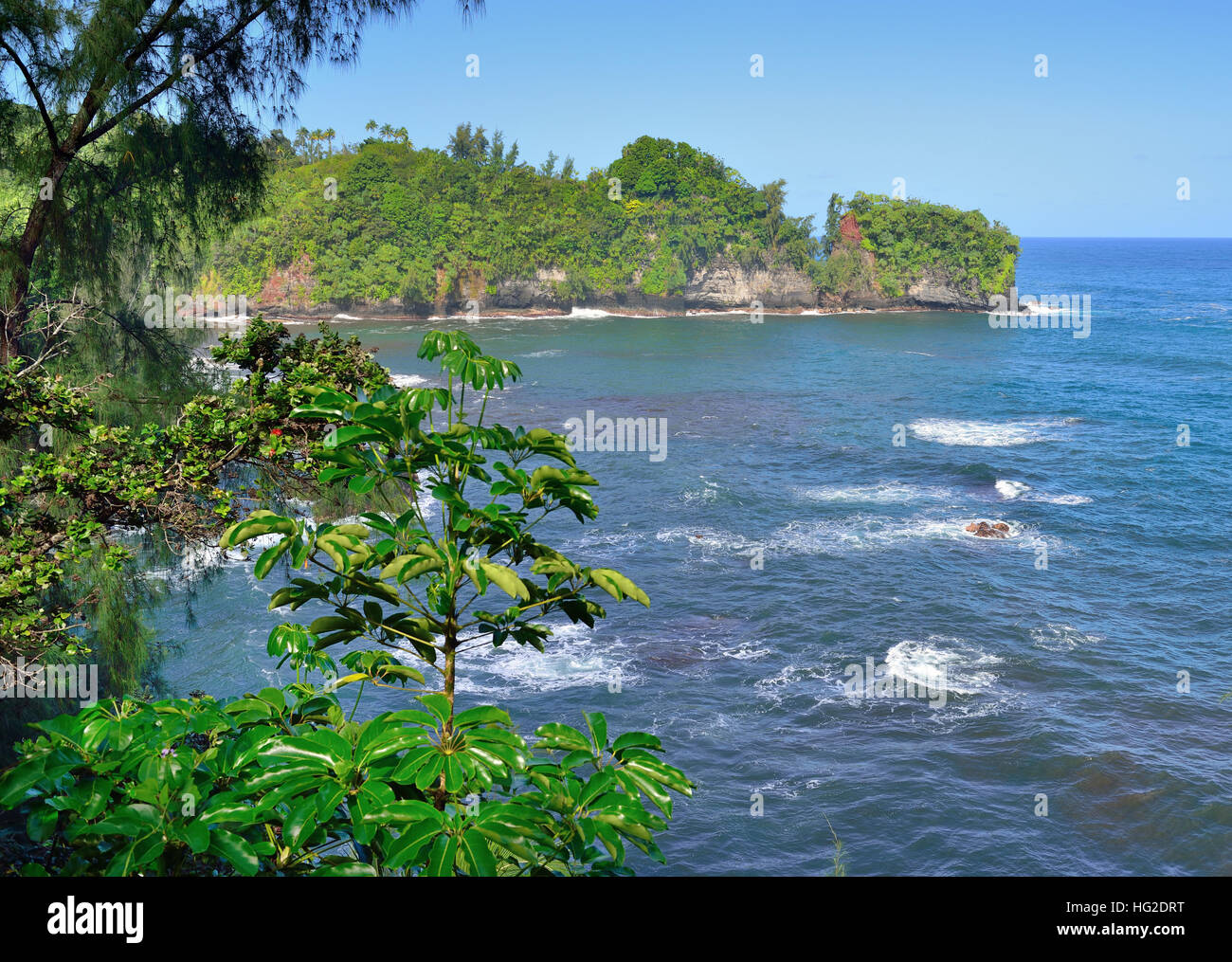 Hawaii plants hi-res stock photography and images - Alamy