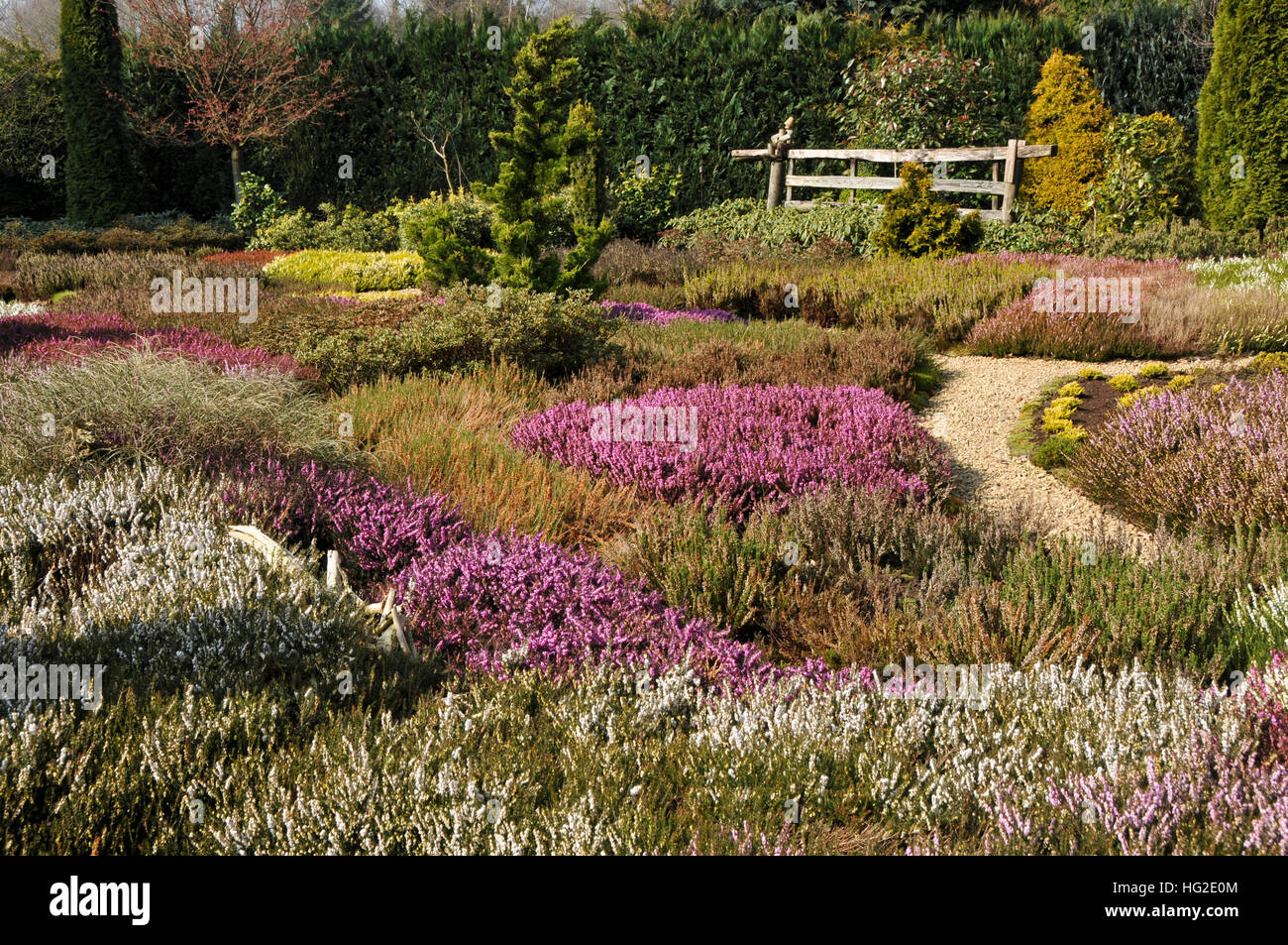 Heather garden hi-res stock photography and images - Alamy