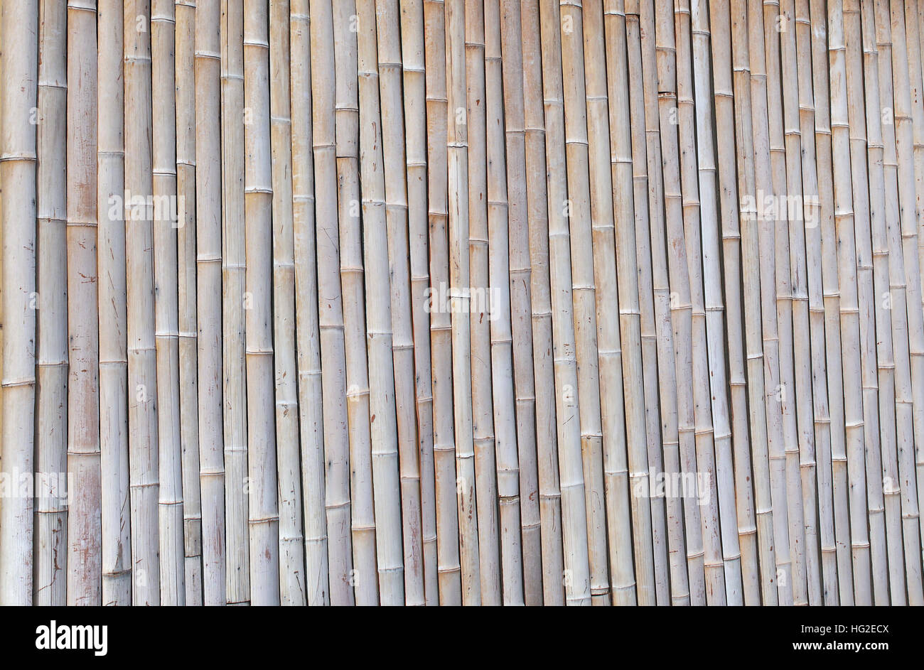 Bamboo wall hi-res stock photography and images - Alamy