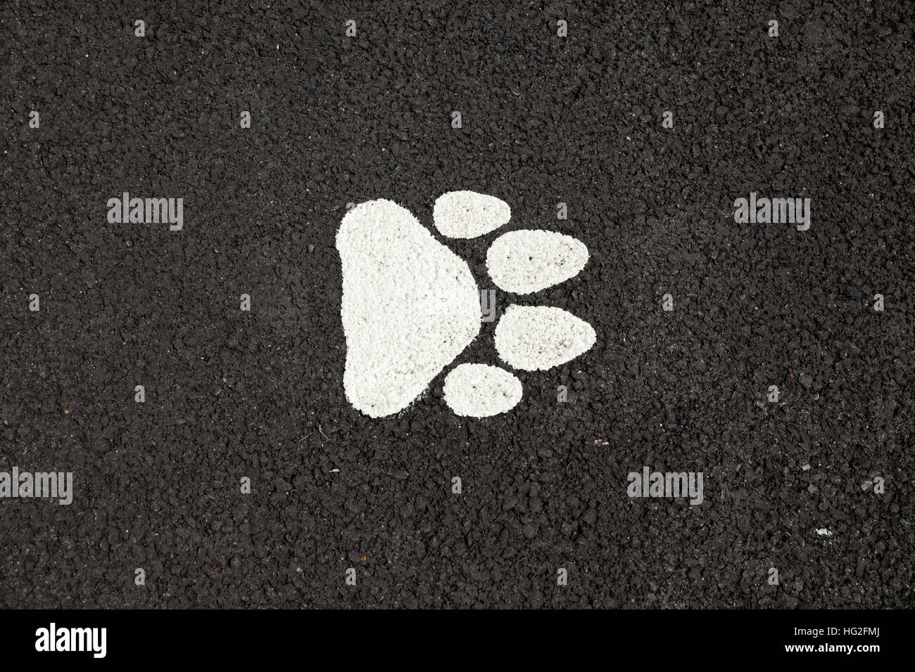 Dog foot prin hi-res stock photography and images - Alamy