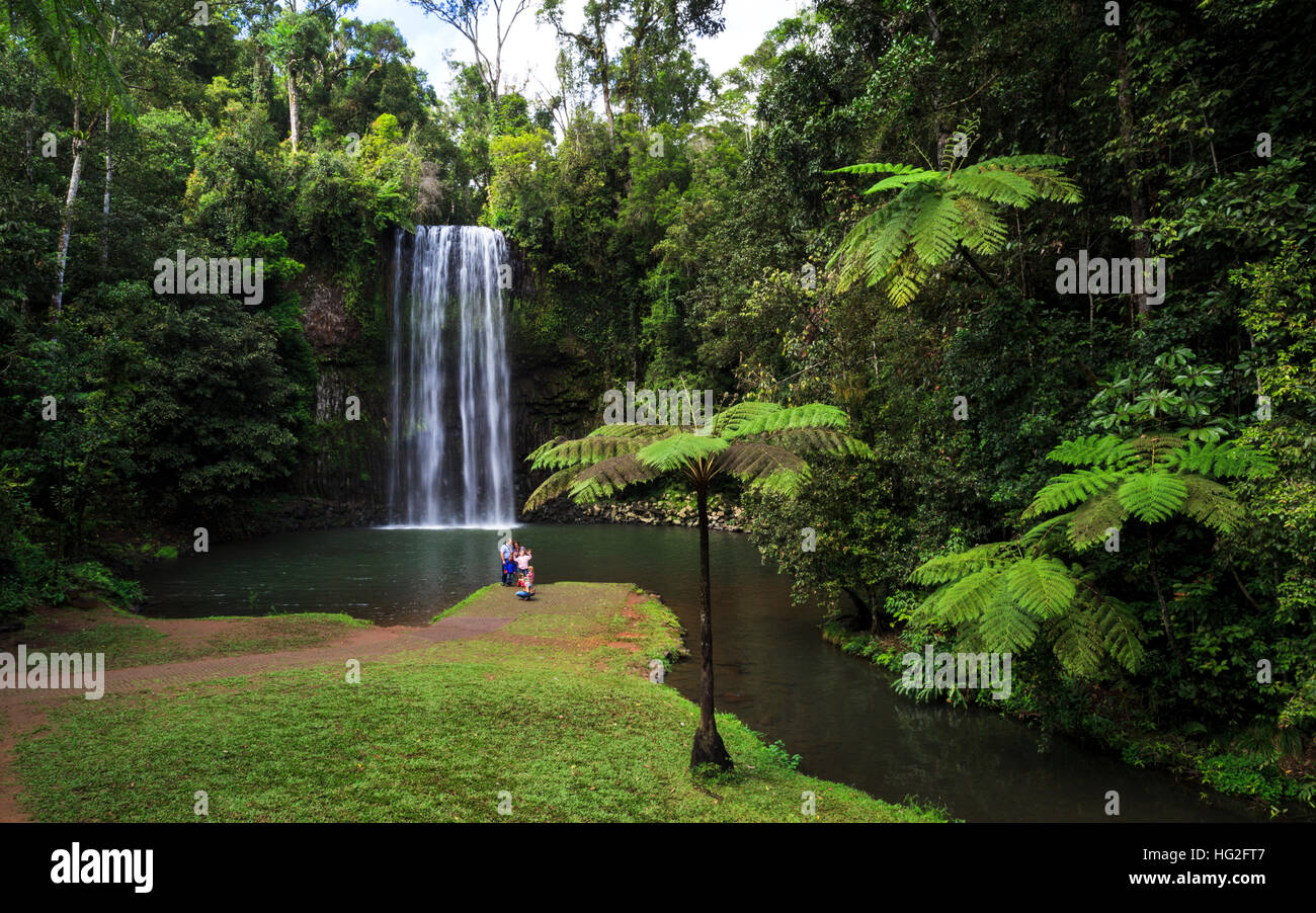 Millaa Millaa Falls. Queensland, Australia Stock Photo - Alamy