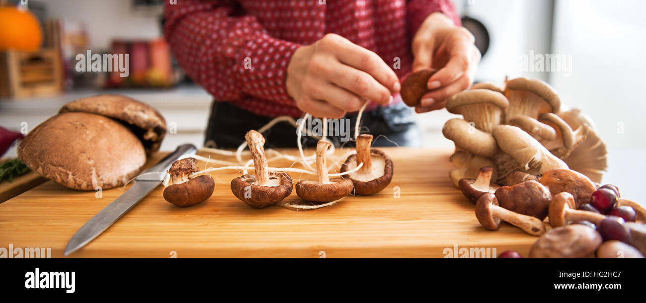 A woman's elegant hands are working on stringing mushrooms together as ...