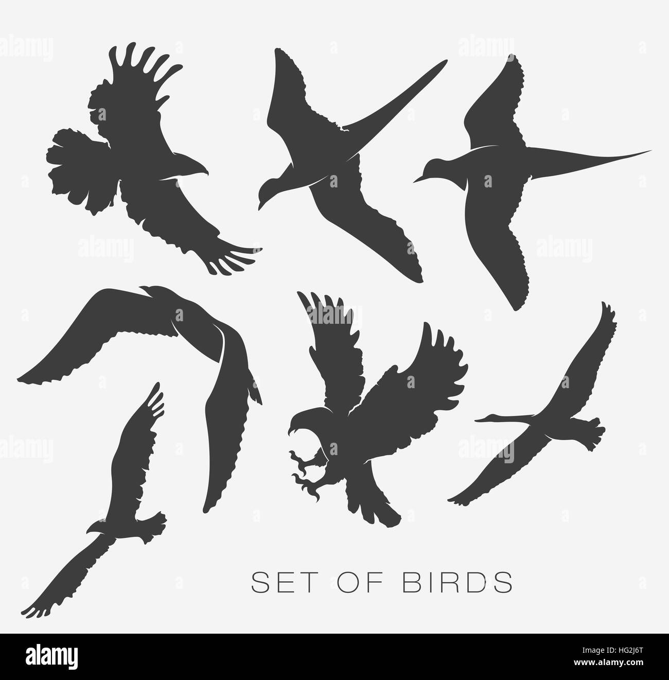 set of illustration of silhouettes of birds Stock Vector Image & Art ...