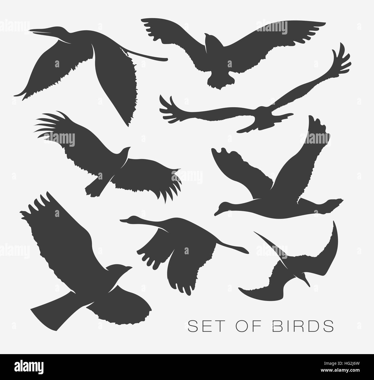 set of illustration of silhouettes of birds Stock Vector Image & Art ...